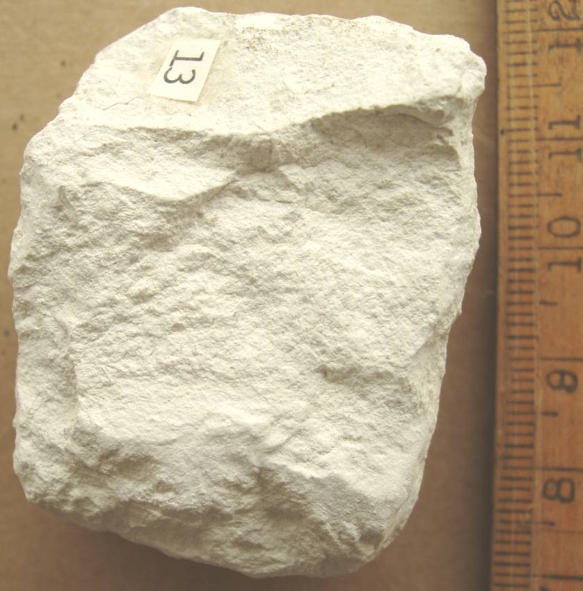 15 0 present berks newb ury sedimentar y rock